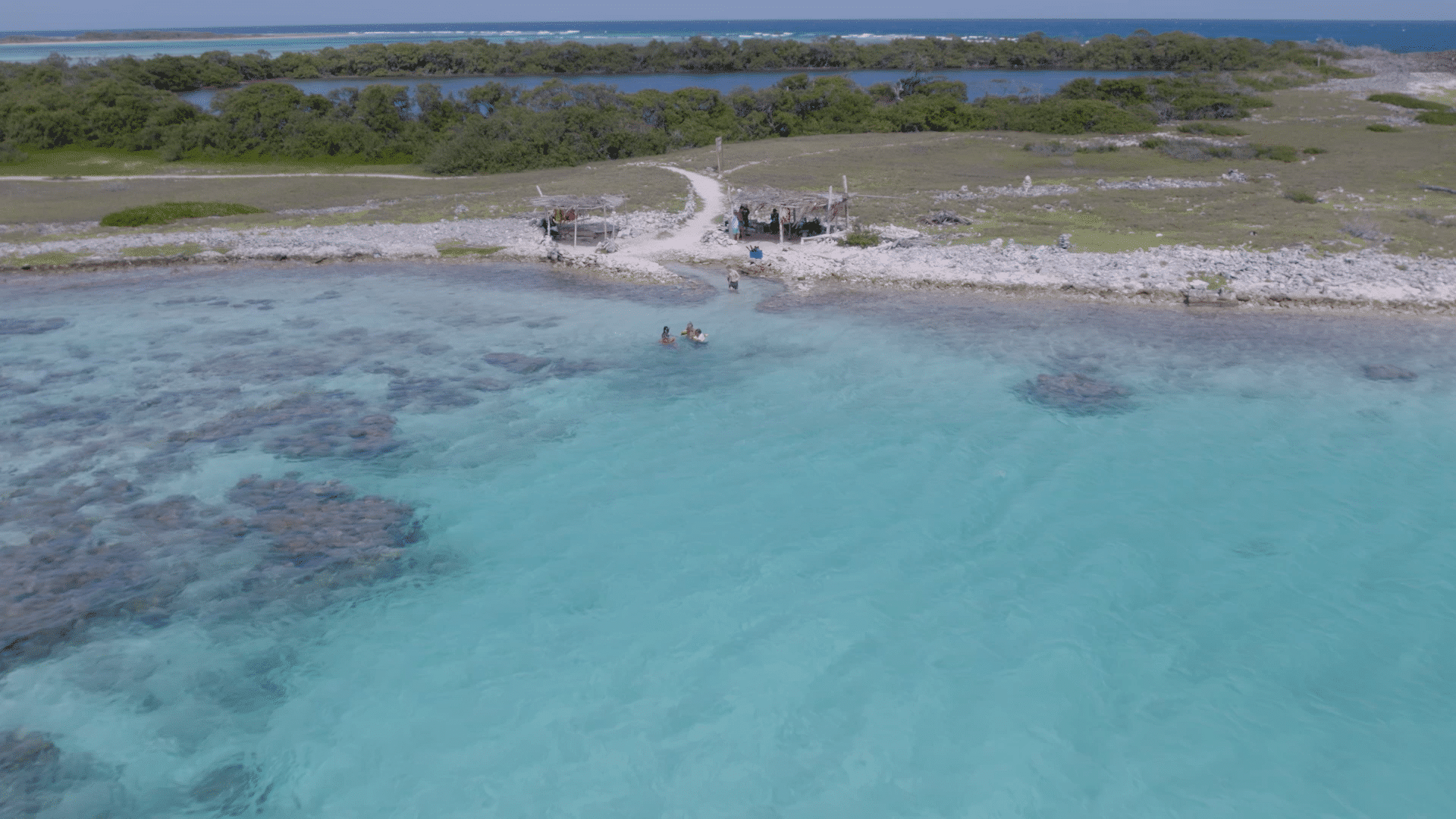 Los Roques Diving Guide 2025: Caribbean Paradise Awaits - Carlos Lander ...