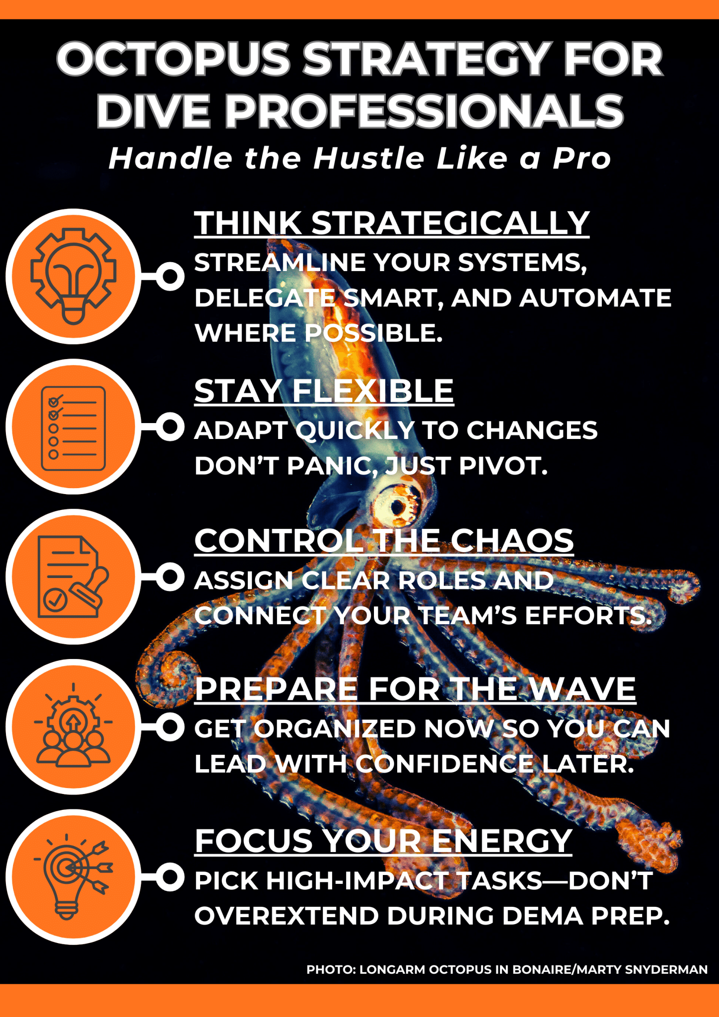 Octopus Strategy for Dive Pros: How to Handle the Hustle Like a Pro ...